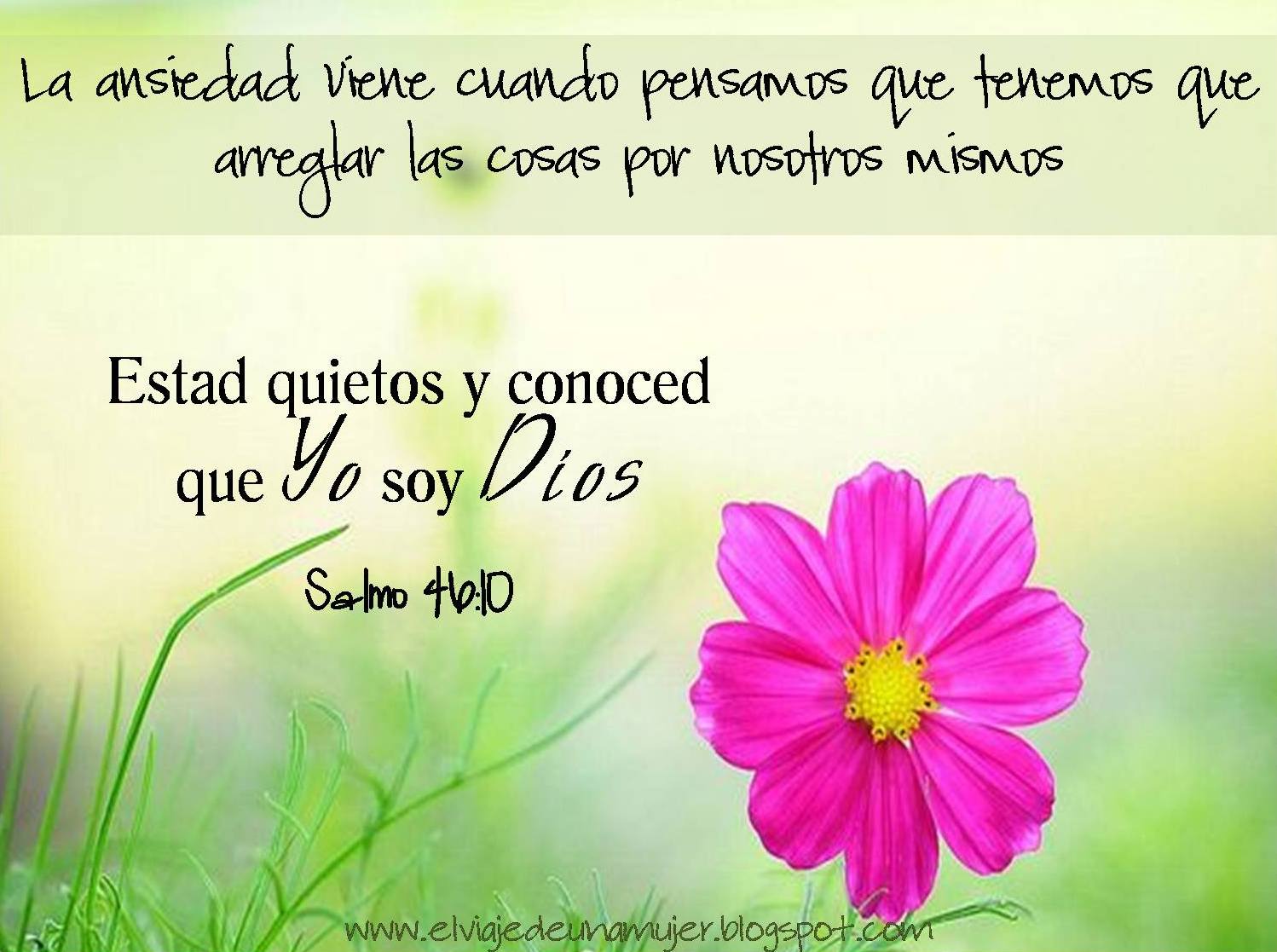 Haciendo la Diferencia