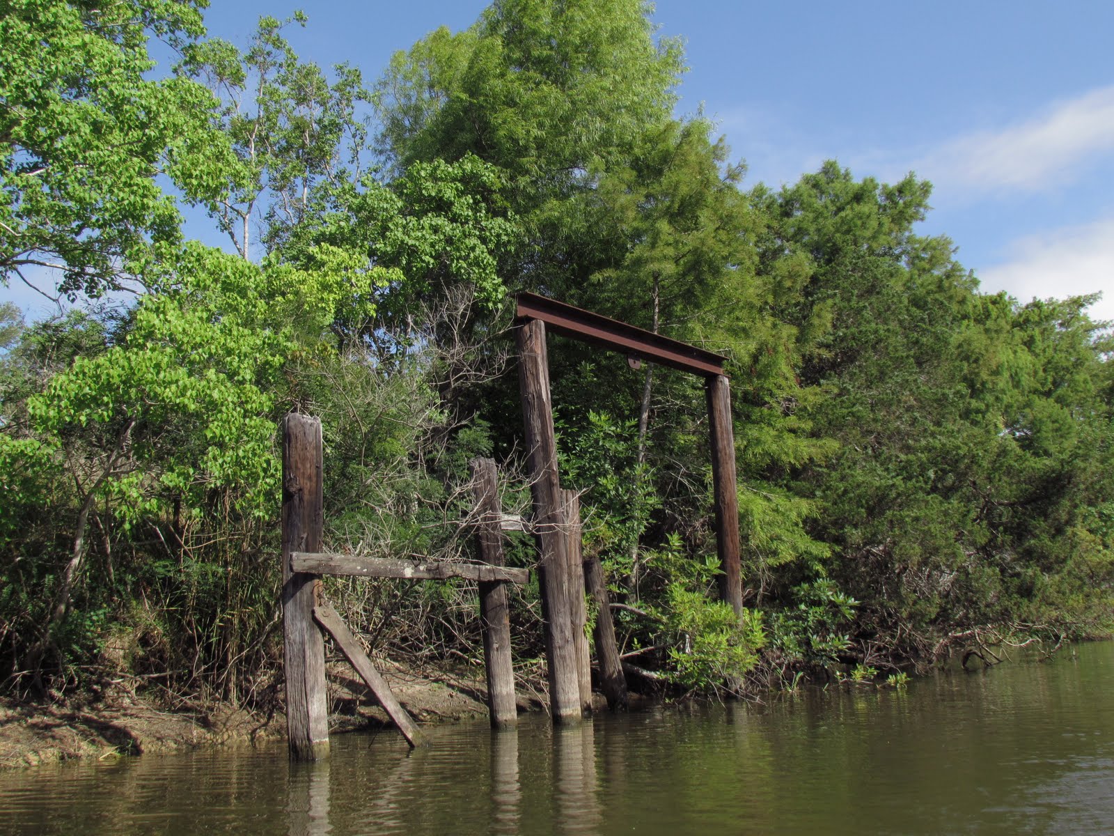 Adventures of a Vagabond Volunteer: Turtle Bayou on Sunday Morning