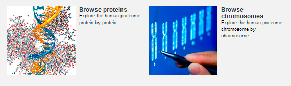 News in Proteomics Research: Human proteome maps part 2: Digging deeper ...