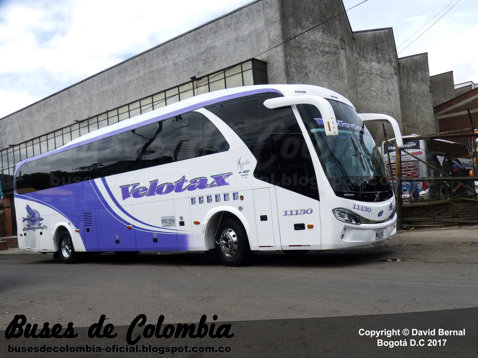 Buses de Colombia - Oficial