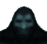 The Bigfoot Field Journal: Bigfoot – The “Wildman”