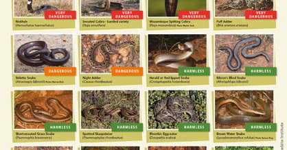 TravelComments.com Official Blog: Free poster download: The Common ...