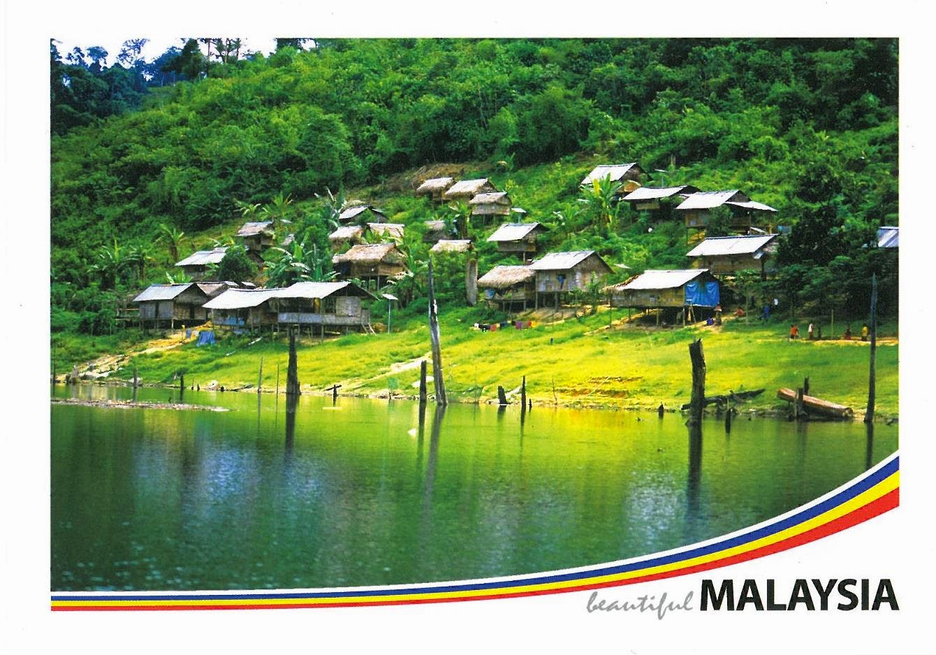 My Postcards Wonderland: MY-Postcards (Shashin)