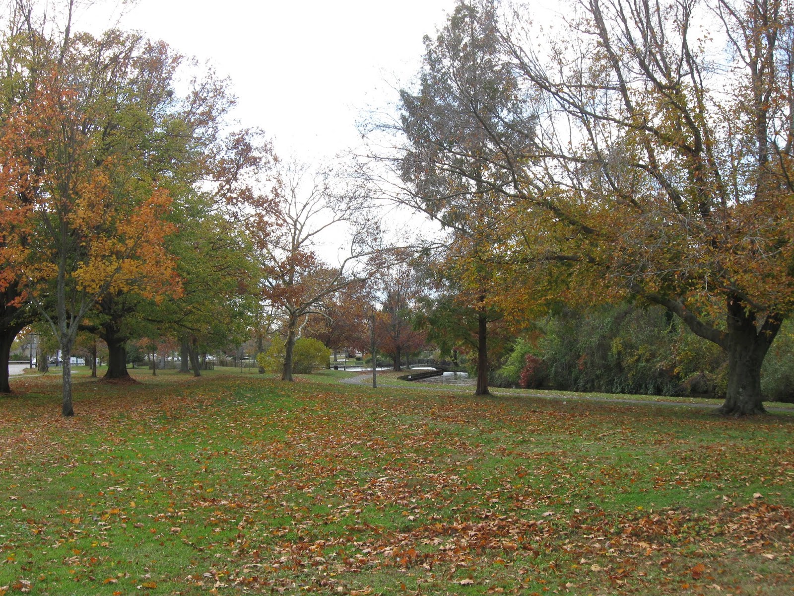 Tripping Over My Roots: 2018