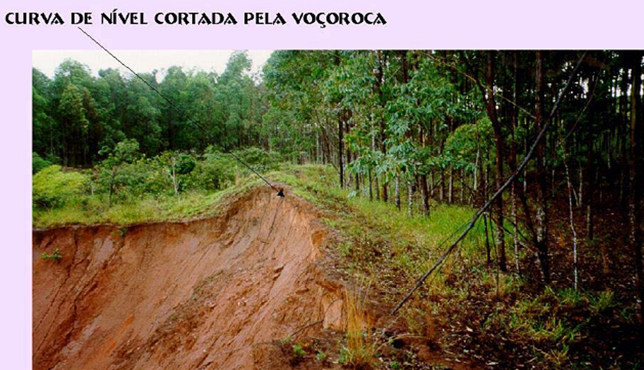 BIBOCA AMBIENTAL : VOÇOROCA, RAVINA