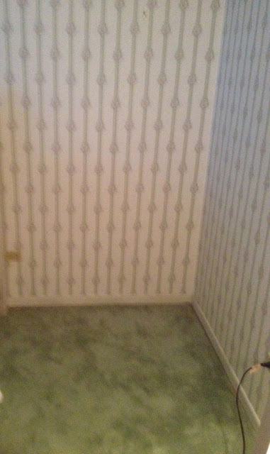 General Splendour : Ugly carpet gone ... I painted underlayment to look ...