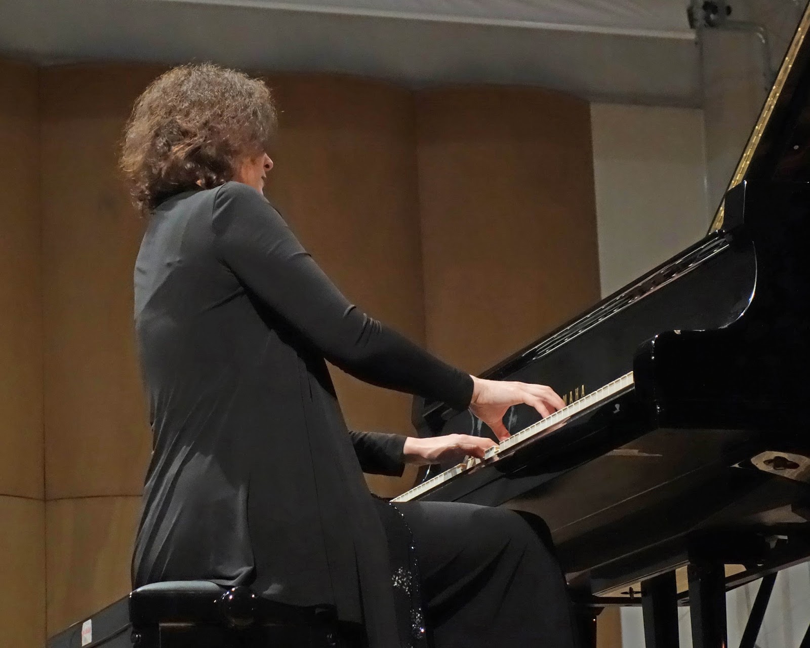 Joe's Retirement Blog: Piano Concert Series at Institute Boccherini ...