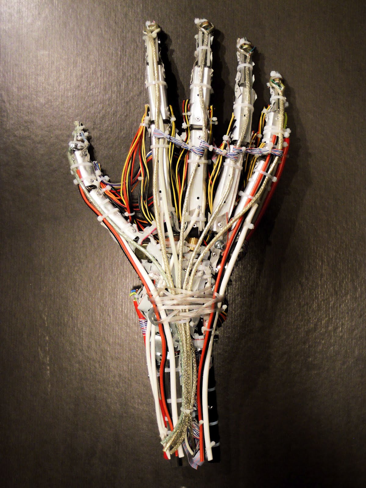 ALX - SCULPTURE: Etude anatomique main droite, tendons et muscles