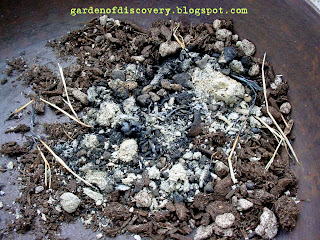 Garden of Discovery: Fire In The Hole! Potting Soil Flammability Test