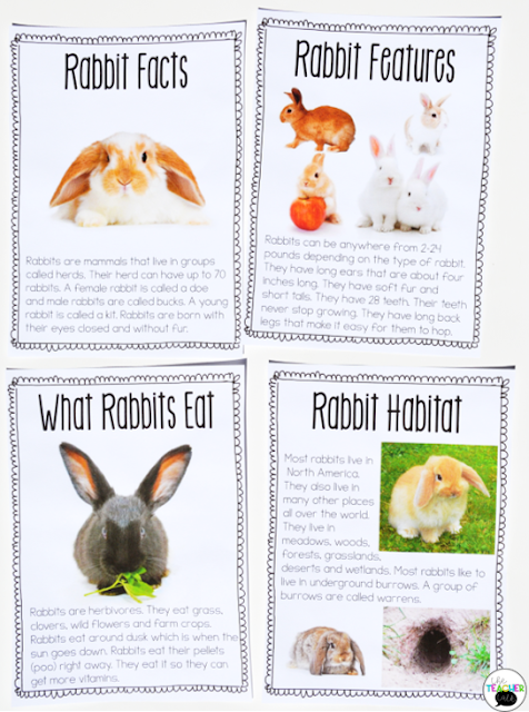 Free Audio, Non-Fiction Rabbit Text! - The Teacher Talk