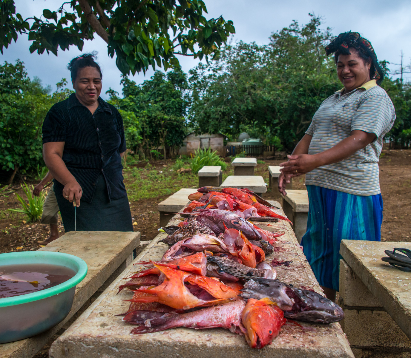 Nimrod catamaran: Impressions of Tonga