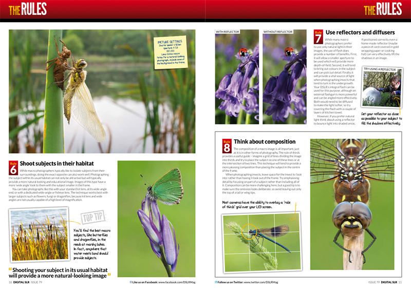 Matt Cole Macro Photography: Macro Article in Digital SLR magazine