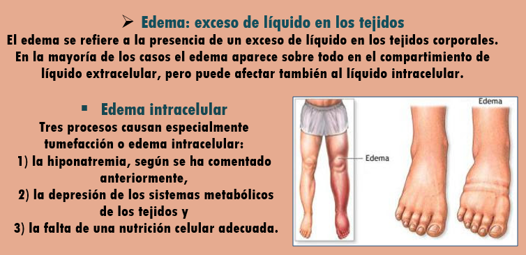 Líquidos Corporales y Riñones.