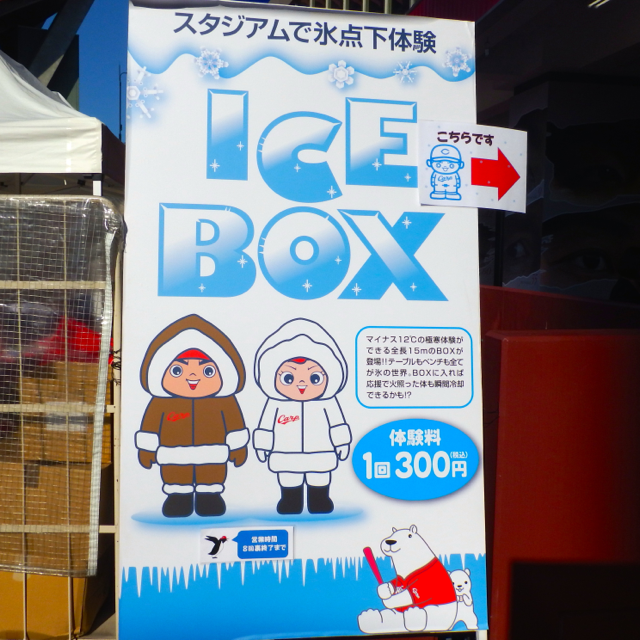 「坊やと氷のお嬢」Carp ICE BOXゆ