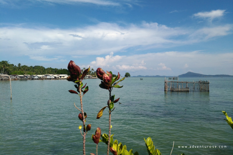 Adventurose | Because Life is an Adventure: Pulau Benan, 'Busur' Kecil ...