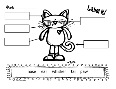 Little Miss Hypothesis - Lessons from the Science Lab: Label The Cat!