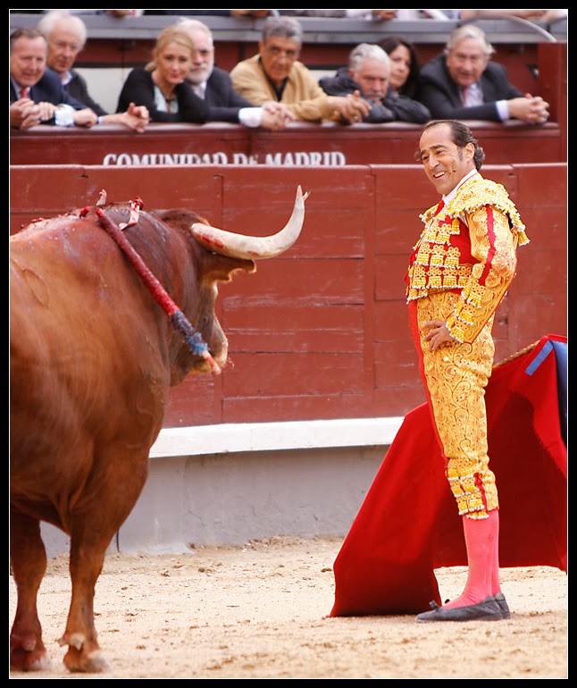 Toro, Torero y Afición: "Un toro tan grande no cabe en la muleta ...