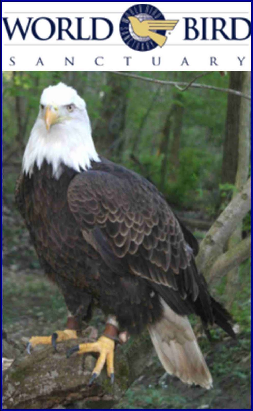 World Bird Sanctuary: We Need Your Help!