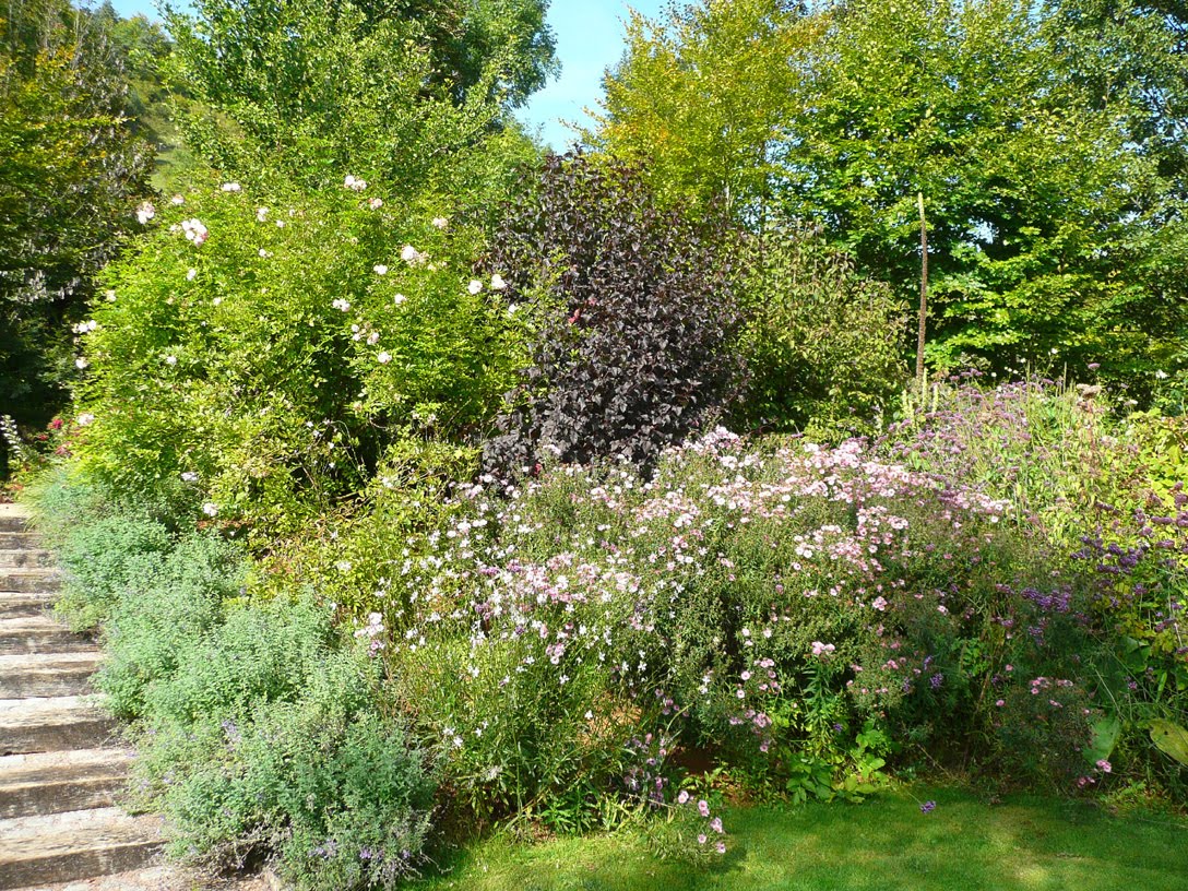 Notre jardin secret.: Les jardins de mon moulin