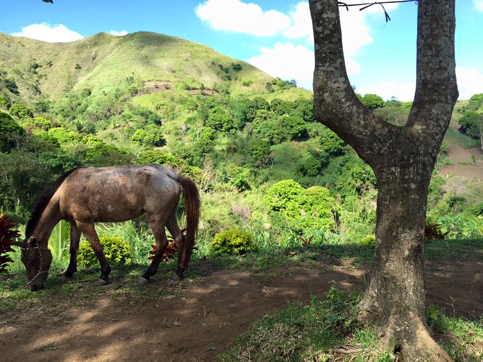 GASTRONOMIC CULTURES OF BATANGAS | BATANGAS FOOD FESTIVAL 2018 ...