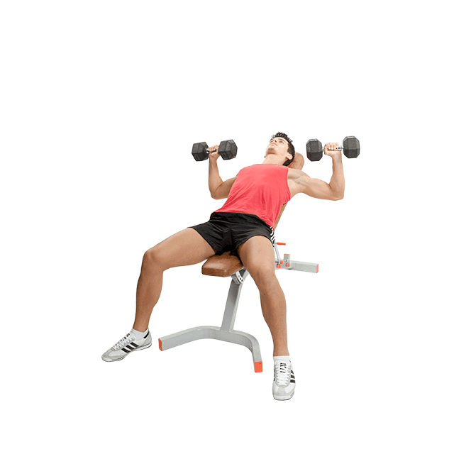 Dumbbell Press upper chest workout for men by WS Fitness and ...
