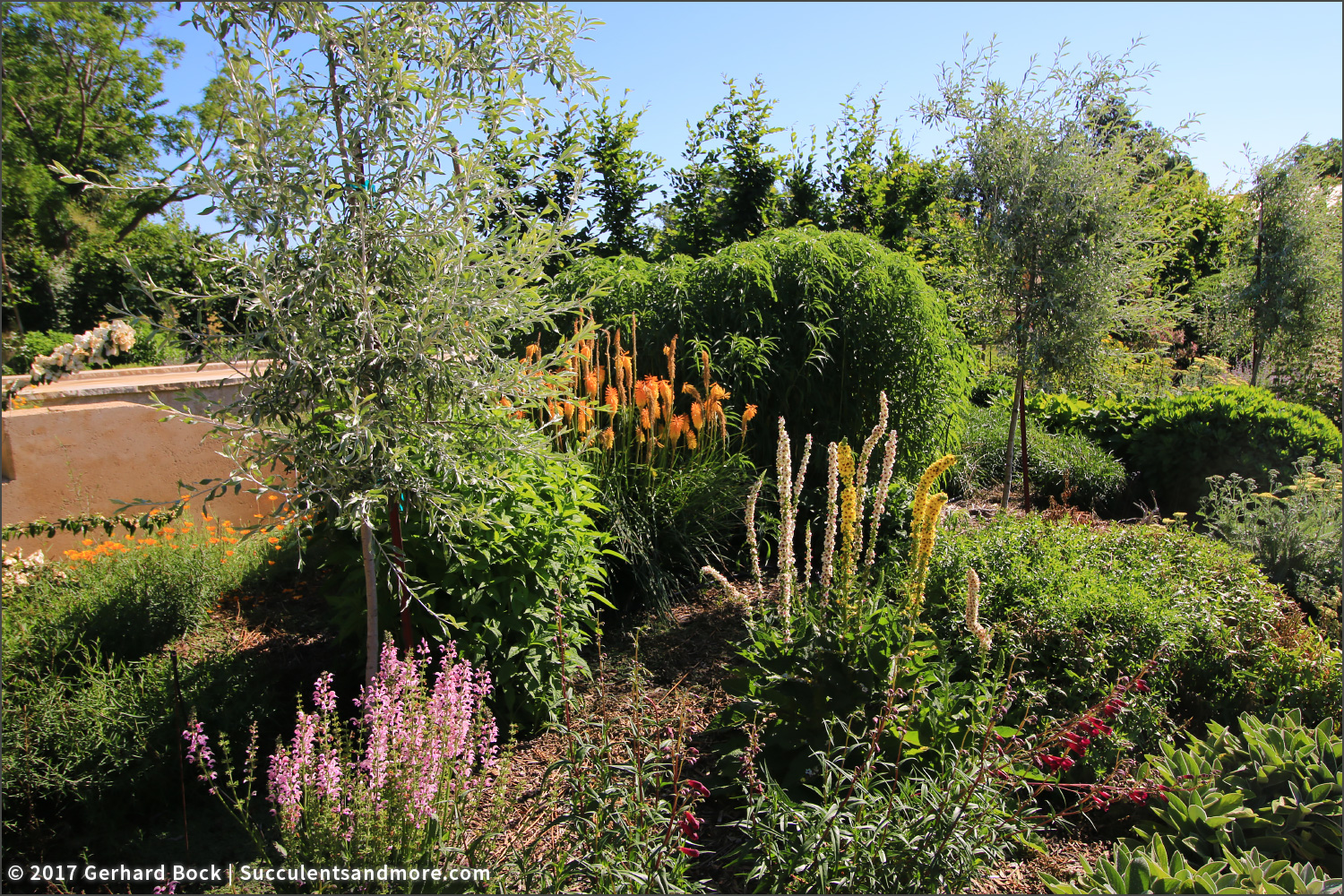 Gardening splendor on two acres in the country