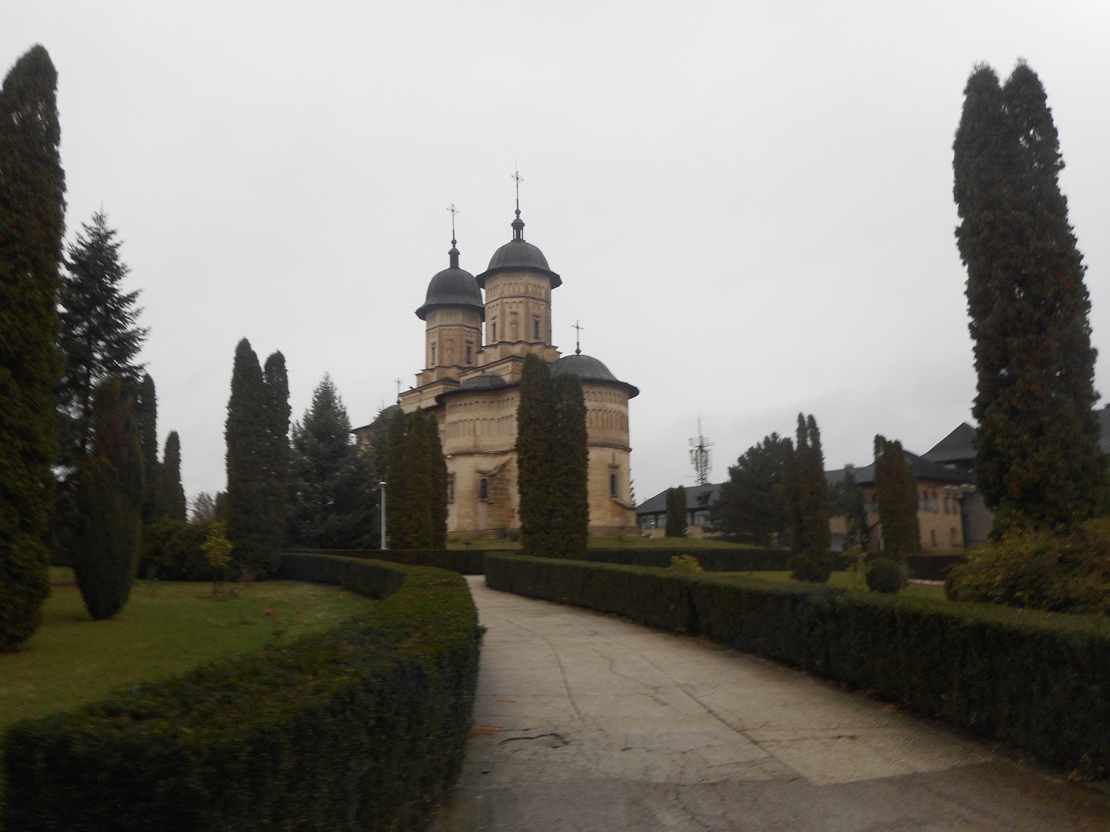 Blog Crestin Ortodox: Iasul cu dragoste!