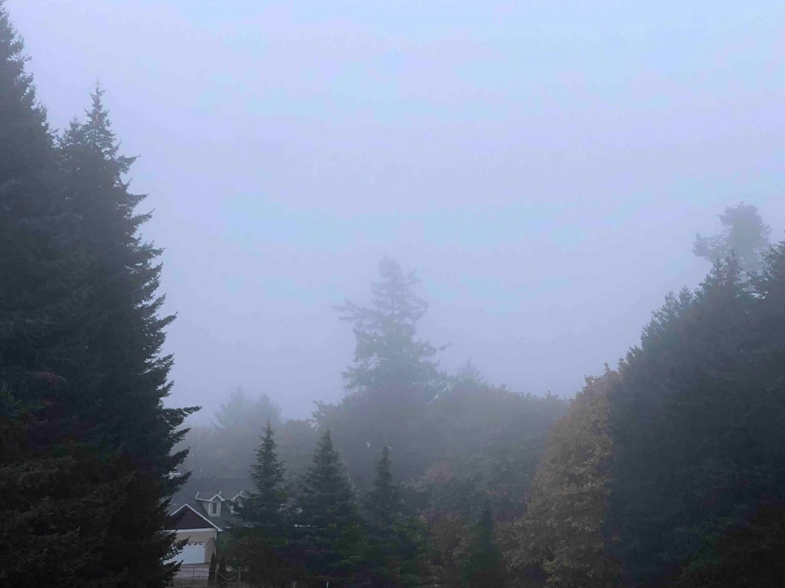 Boulderneigh: Deep fall