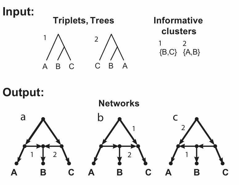 The Genealogical World Of Phylogenetic Networks A Fundamental Limitation Of Hybridization Networks