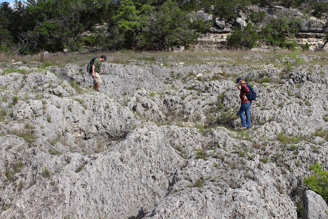 Finding Fossils...: Fossil Reefs around Austin