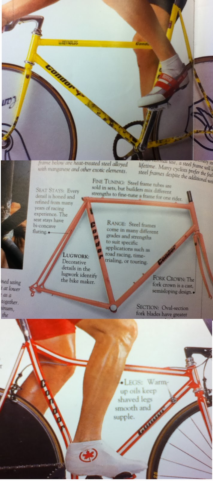 Is this a UK Condor (not Hoffman) frame? - BMXmuseum.com Forums