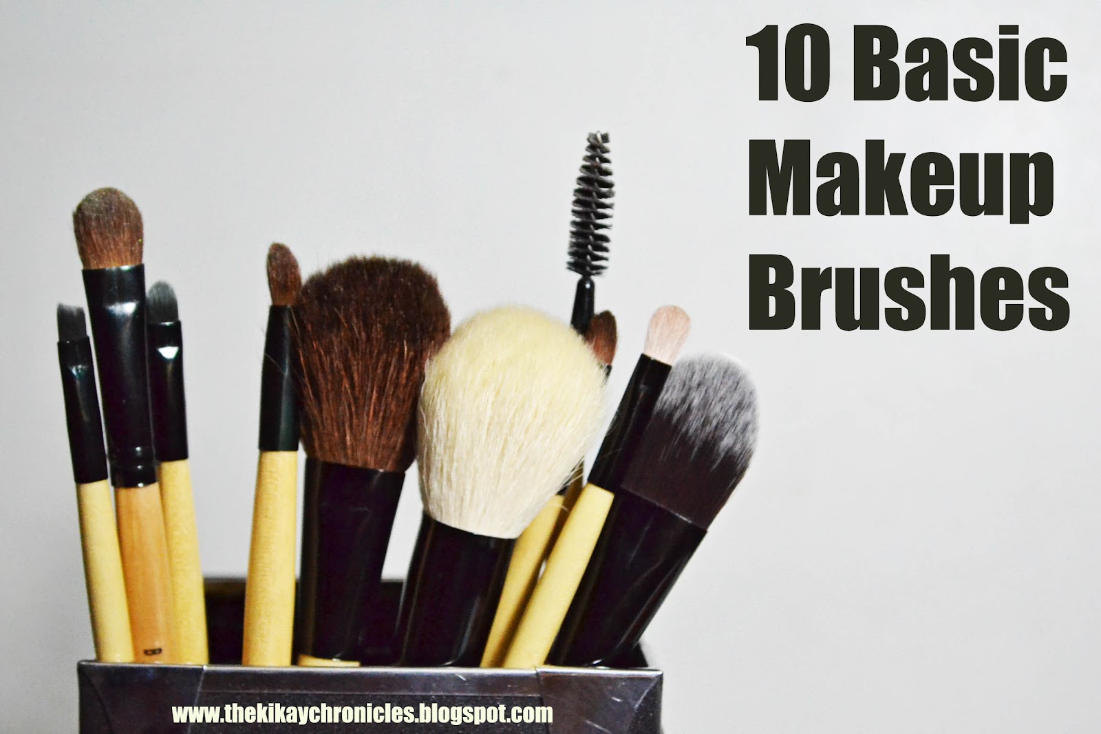 The ChinChin Chronicles: Make Up Brushes 101 for Beginners