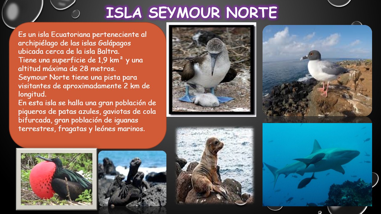 EL TURISMO EN EL ECUADOR : Región Insular o Galapagos, Cuarta Semana
