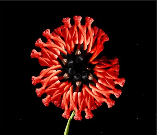 Cecelia Webber ~ Human Flowers | Tutt'Art@ | Pittura * Scultura * Poesia * Musica