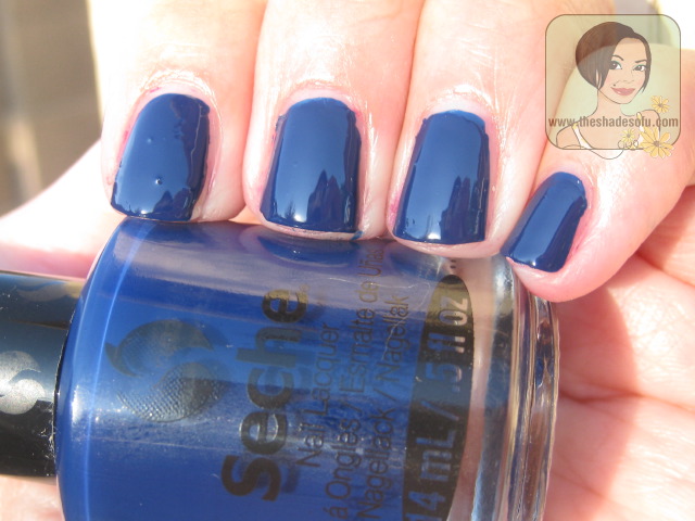 Seche Clever and Confident Nail Lacquer Collection Swatches, Review ...