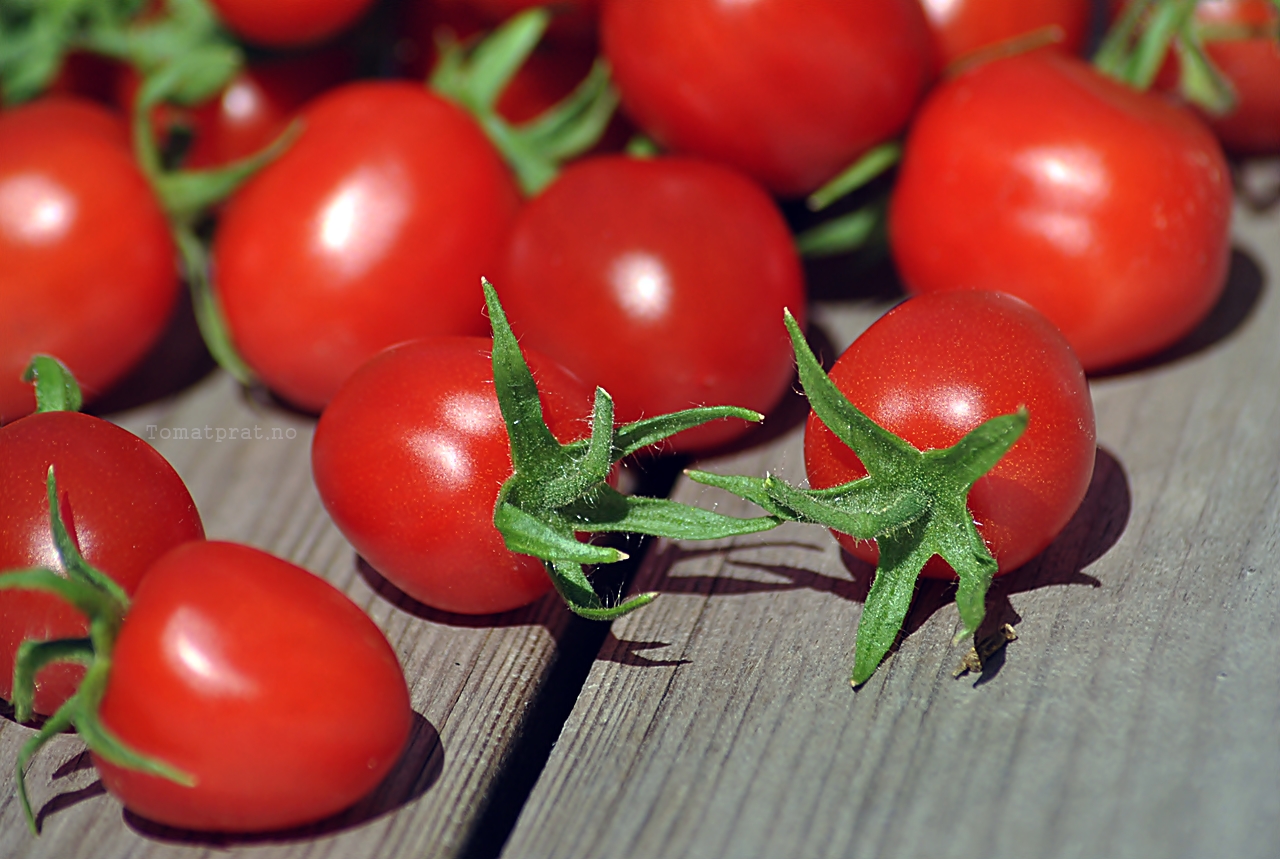 Helenes Tomater: Principe Borghese tomat - utmerket å tørke!