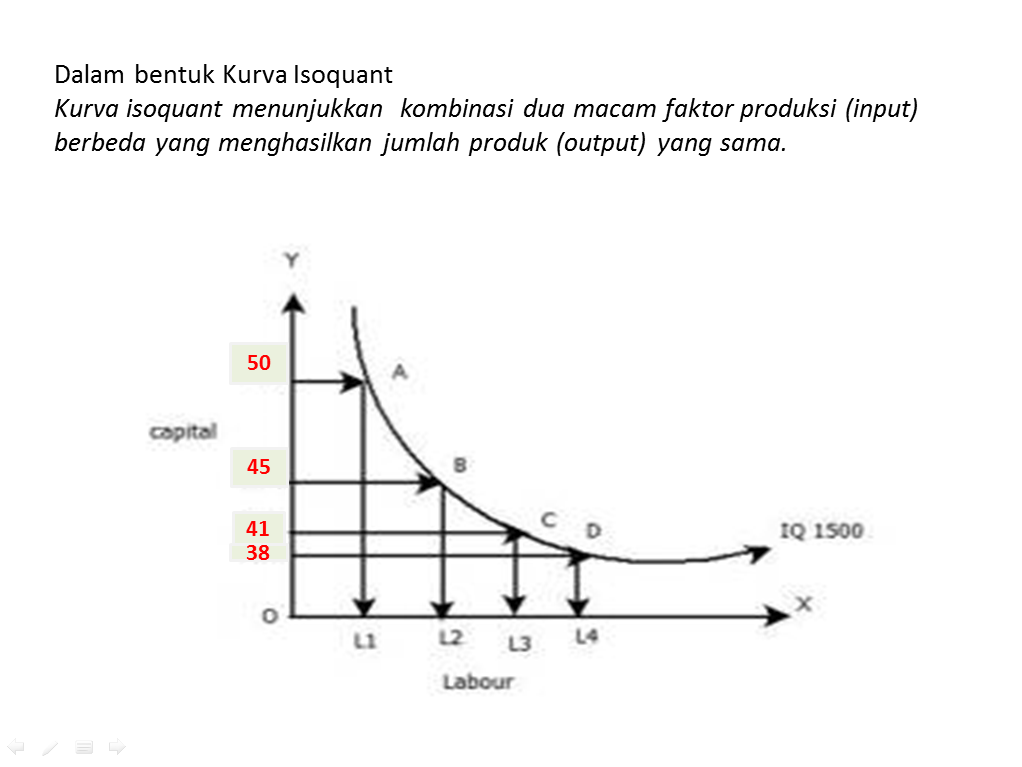 Fera an Ordinary Girl: Materi Teori Produksi Jangka Panjang