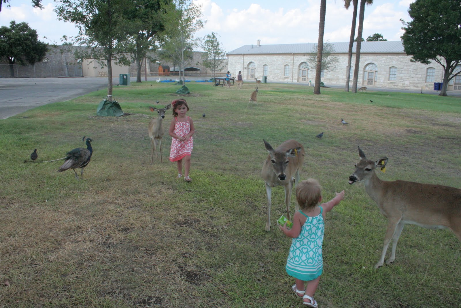 The Crowell Crew: Fort Sam Houston Quadrangle