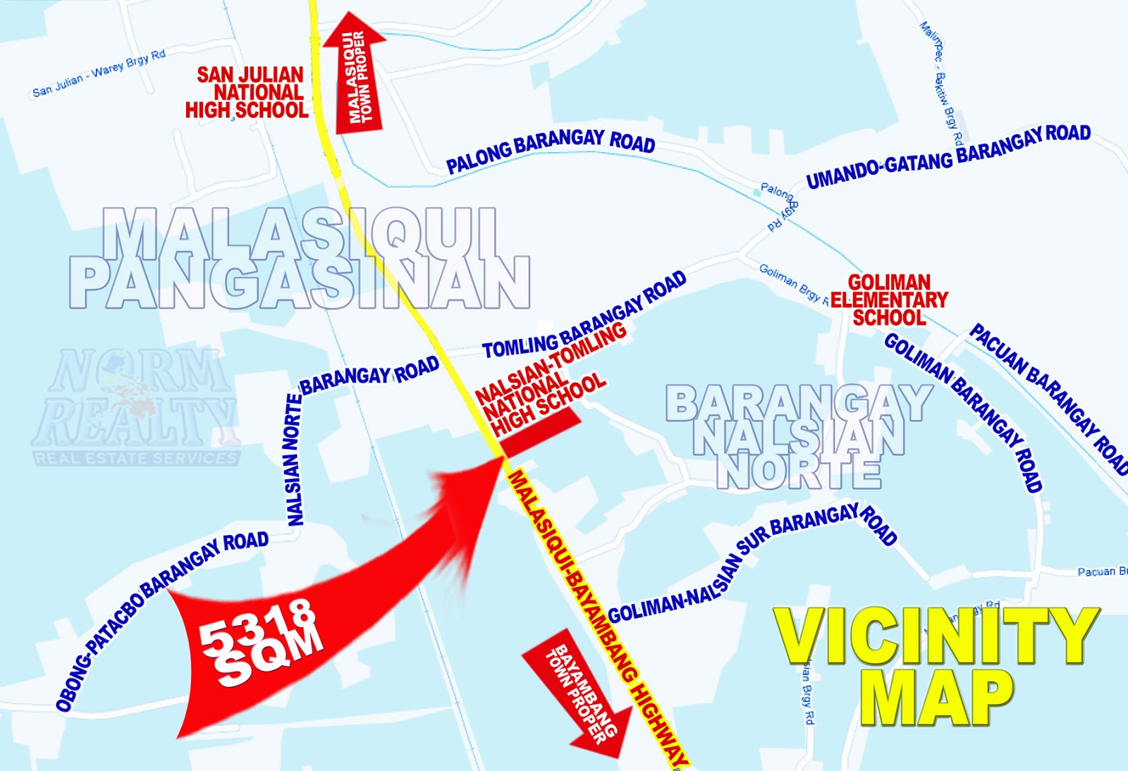NormRealty Dagupan: SOLD: Pangasinan Malasiqui 5318-sqm Prime Land ...