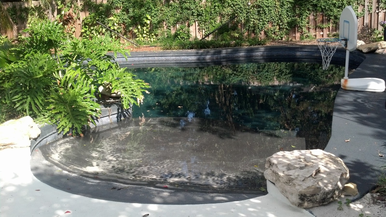 Jeremy's Swimming Pools: Boring pool