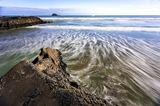 A Kiwi at the camera: More of Oaia Island