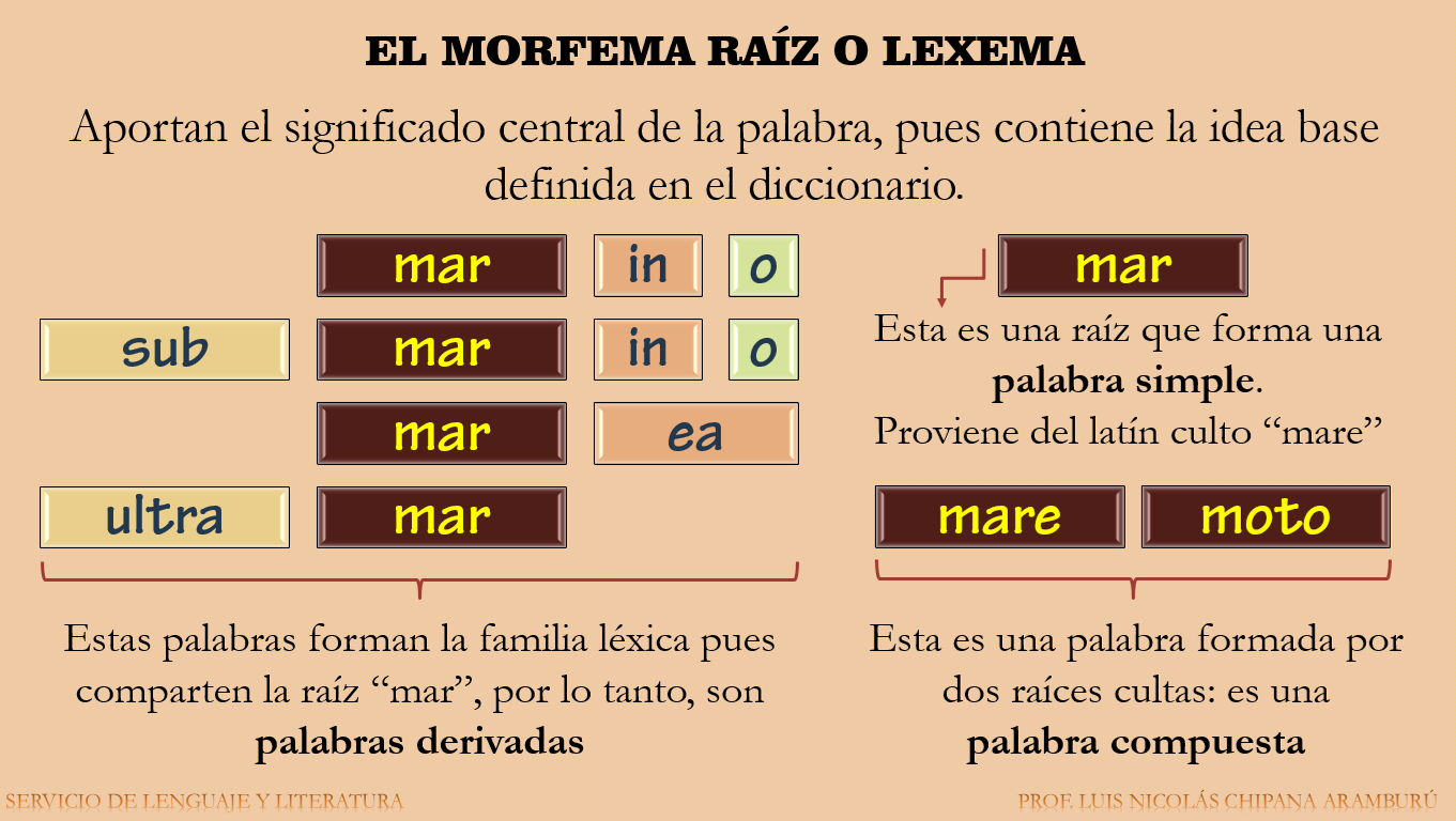SERVICIO EDUCATIVO EN LENGUAJE Y LITERATURA: MORFOLOGÍA, LA ESTRUCTURA ...