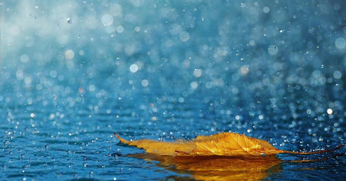 Perchè piove? Di cosa sono fatte le nuvole? | Why&Because