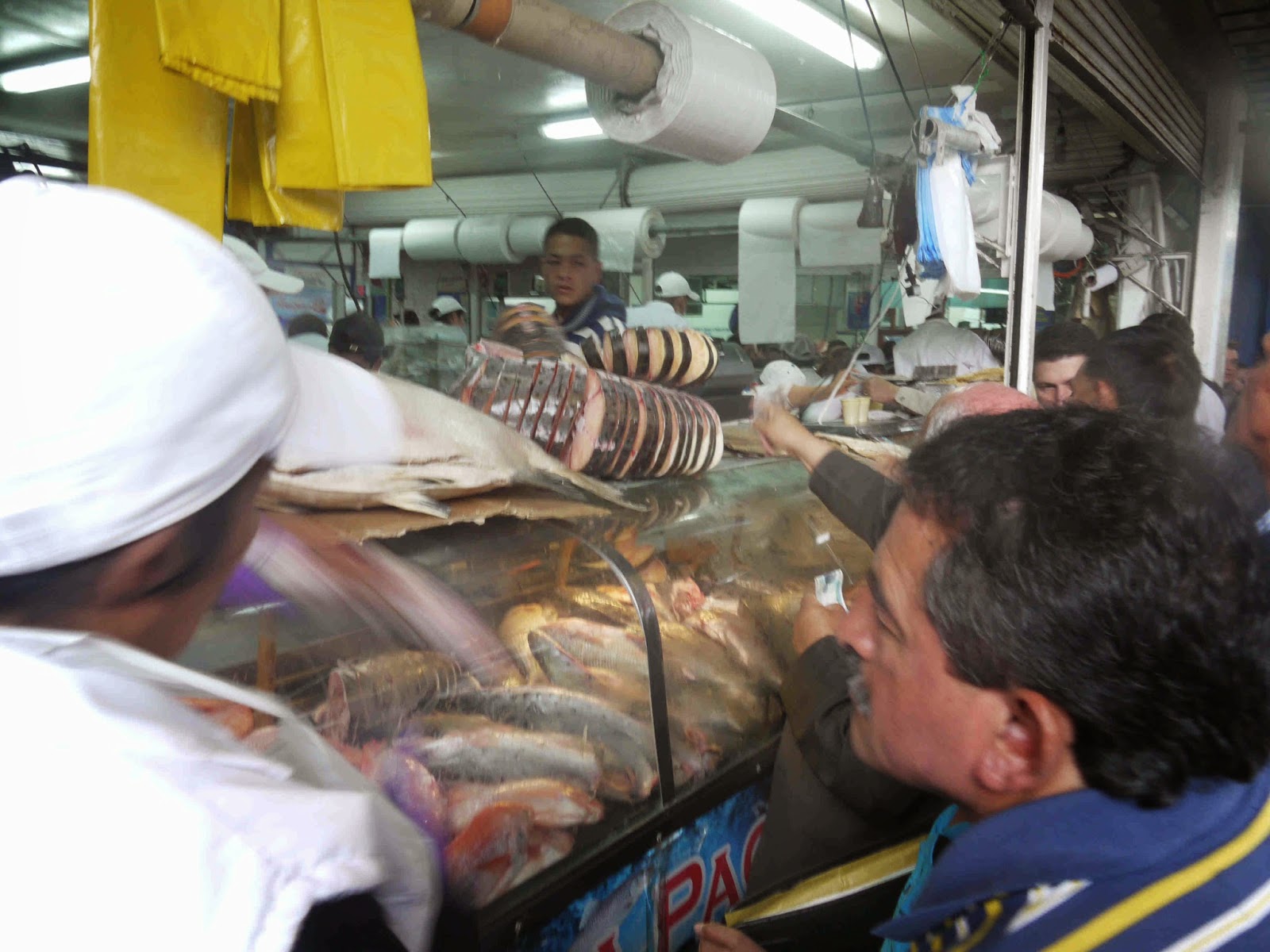 Mike's Bogota Blog: Fish Feeding Frenzy in Paloquemao