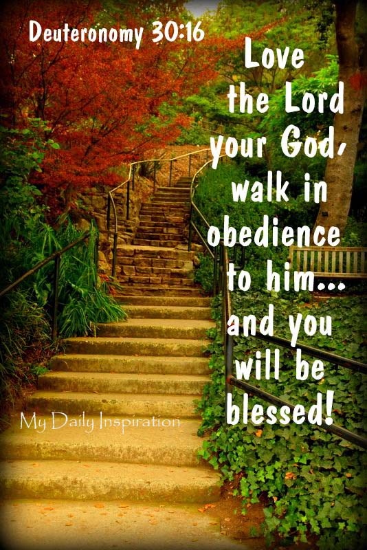 Love the Lord your God, to walk in obedience to him