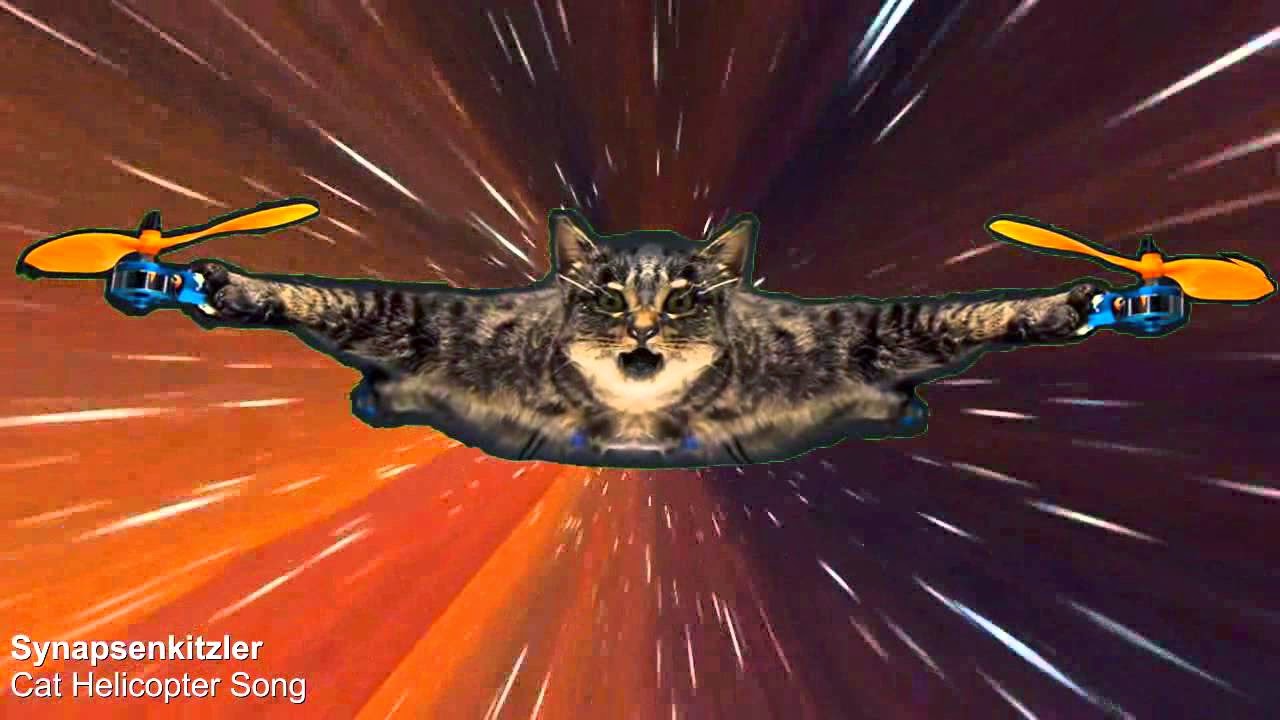 Vídeo: O polêmico "Gato Helicóptero" (CatCopter) - Blog Sequelanet