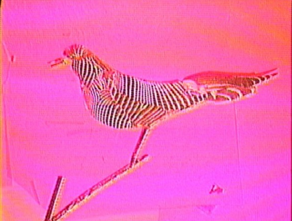 The Astonishing Egg: Tom Thayer