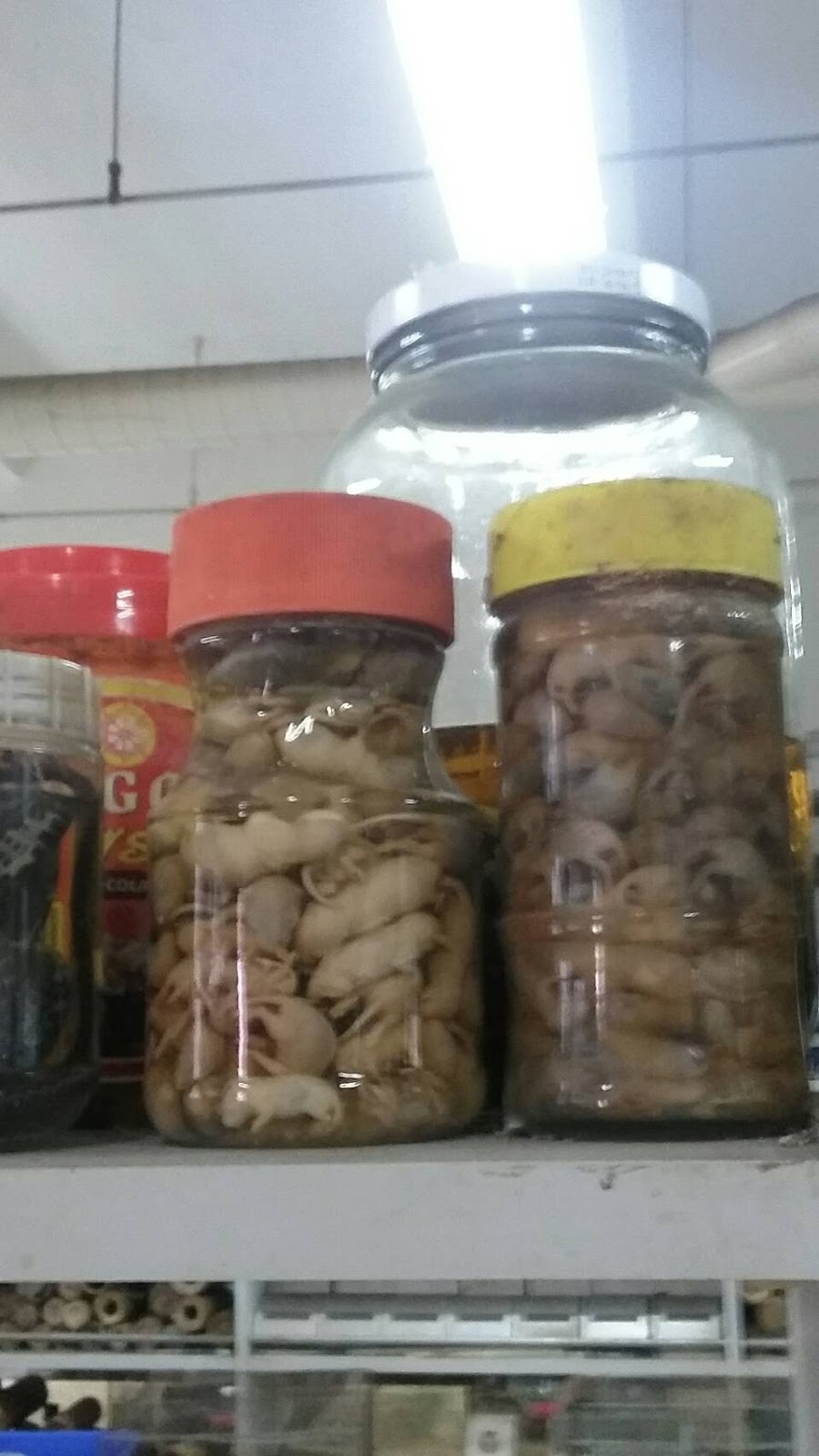 PETUALANGAN MAHASISWA PERTANIAN PART 1