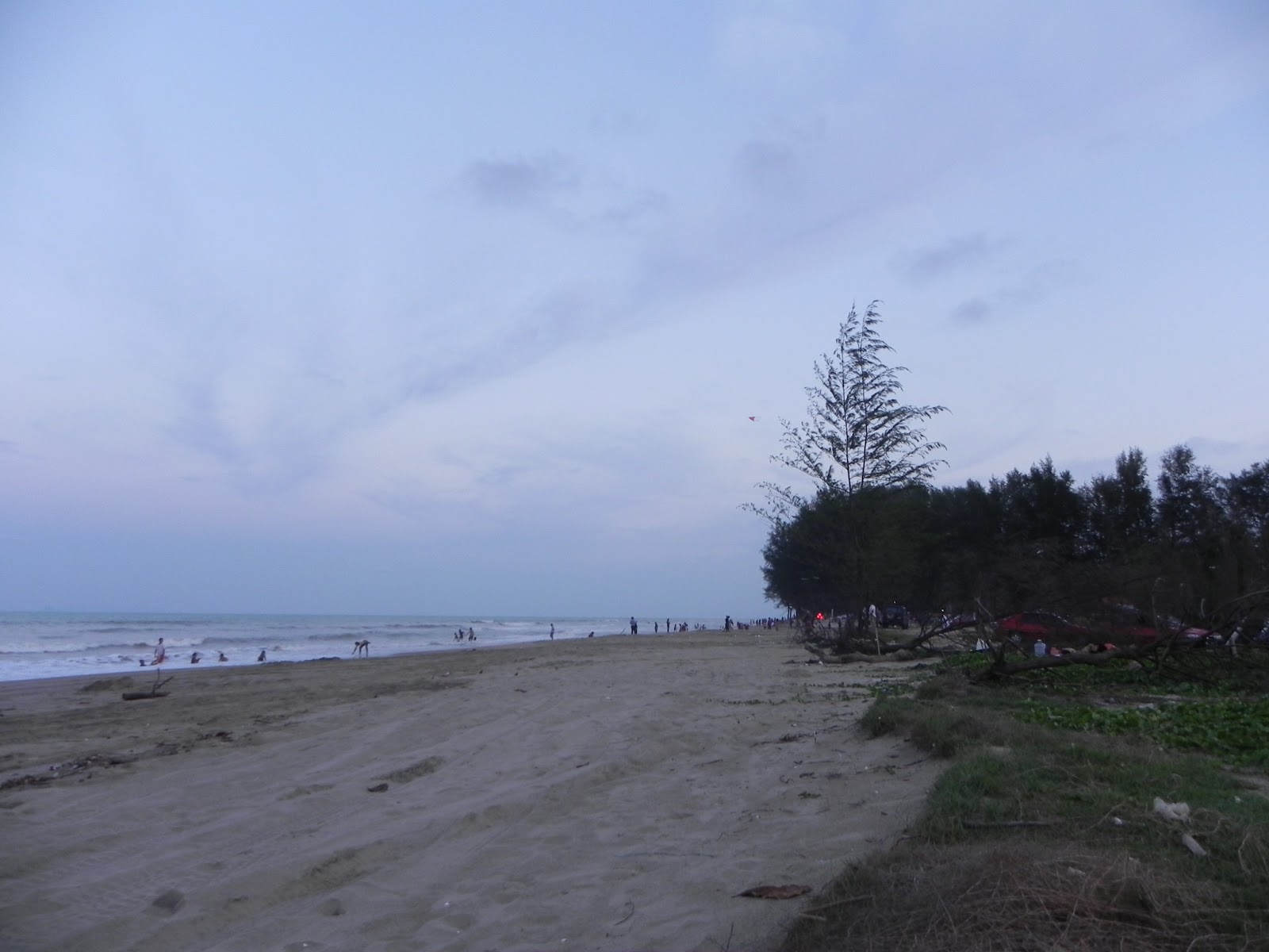 Jendela Alam: Pantai Irama (Bachok)