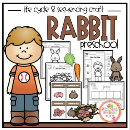 Rabbit Life Cycle Mini Printable with Sequencing Craft ~ Preschool ...